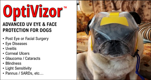 OptiVizor SS Sizing Form